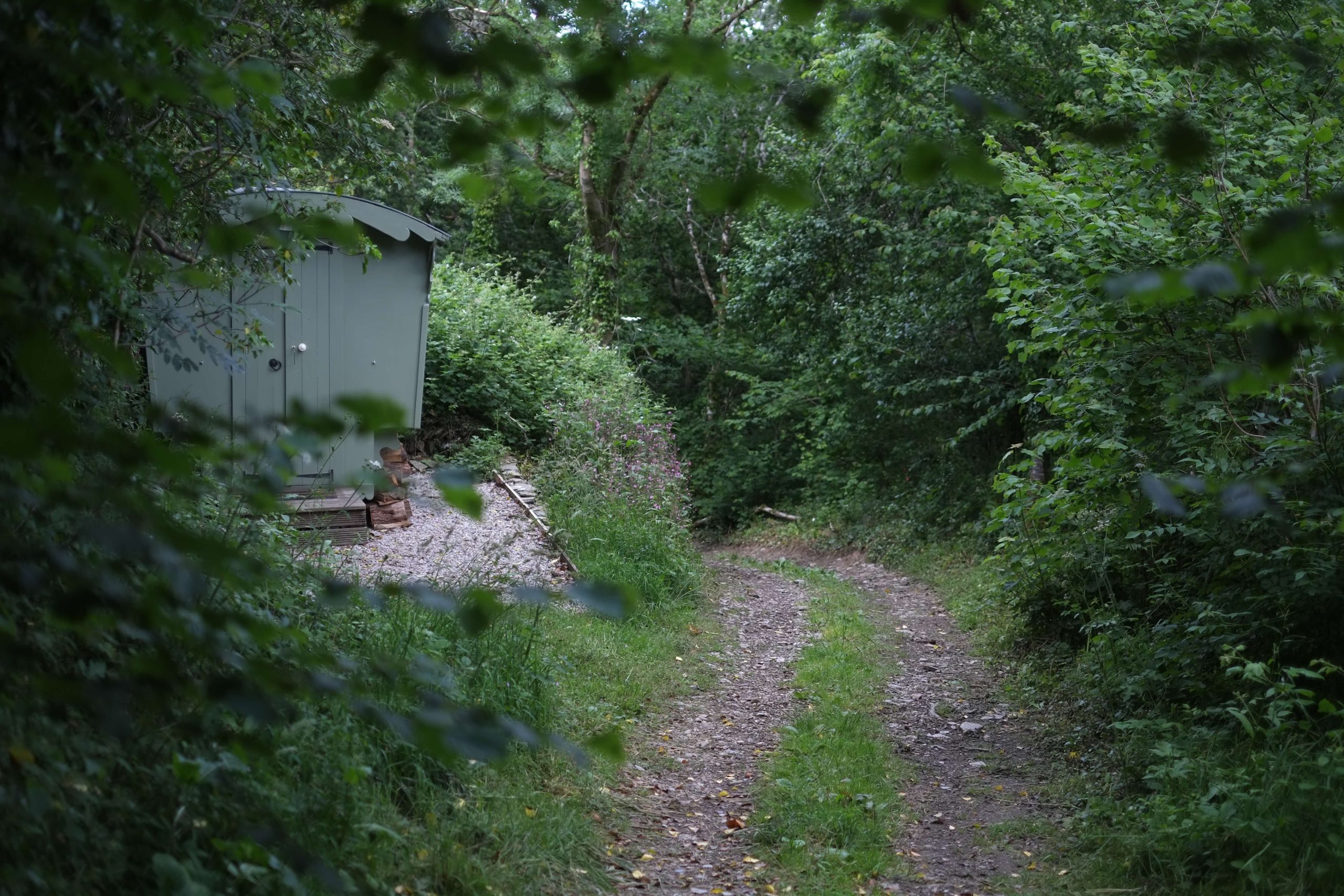 The Lost Cottage - Lantic Locations